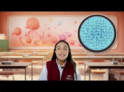 Exploring Cell Types Prokaryotes And Eukaryotes Galaxy Ai