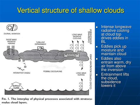 Ppt Boundary Layer Of Shallow Clouds And Deep Convection Powerpoint