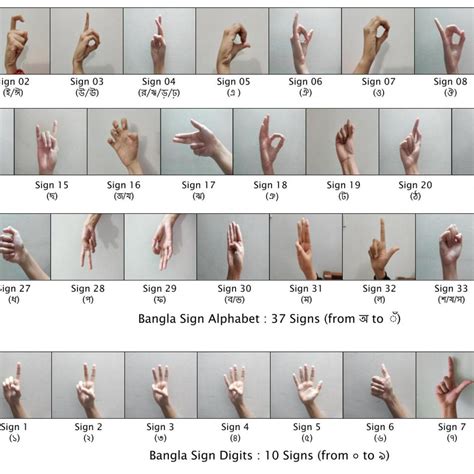 Bangla Sign Language Dataset Csv Files Kaggle