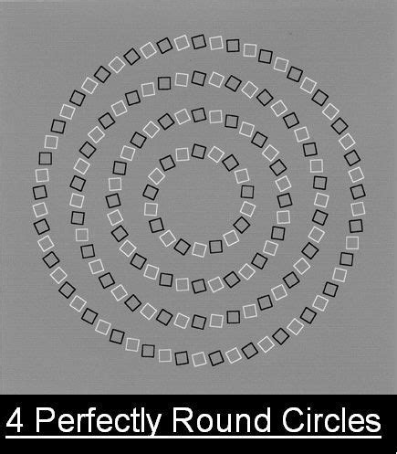 Random Photos 89 Sexy Funny Full Photo 49248 SexyAndFunny Com