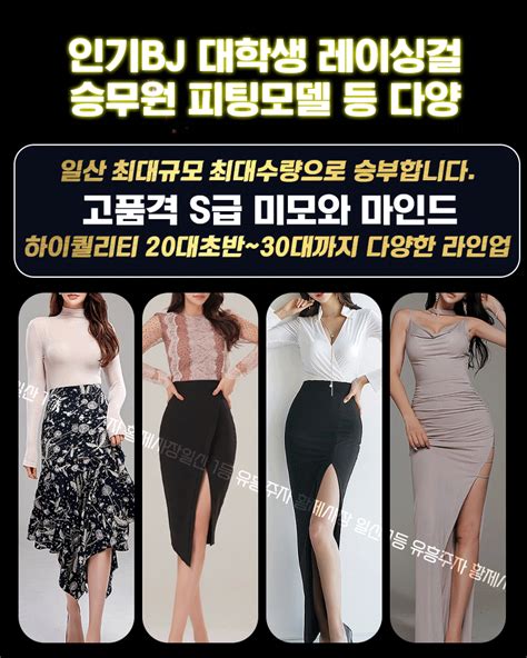 일산가라오케 일산노래방 라페스타노래방 룸 둘리 실장