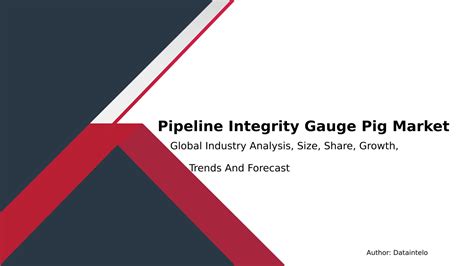 Pipeline Integrity Gauge Pig Market Report Global Forecast From 2025 To 2033 Pipeline Integrity Gauge Pig Market Report Global Forecast From 2025 To 2033