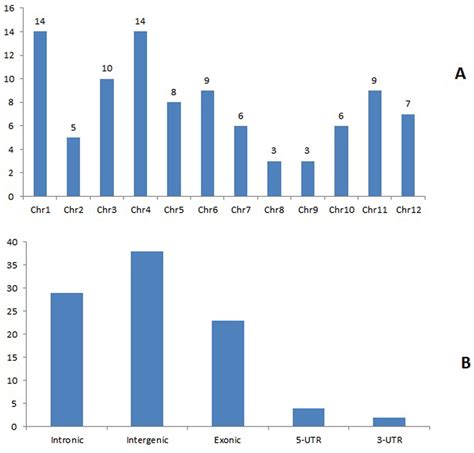 Locations And Nature Of Novel Mirnas Of O Coarctata A Chromosomal