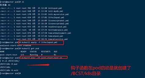 Kubernetes Pod生命周期你真的懂了吗？kubenet Deploy 生命周期 Csdn博客