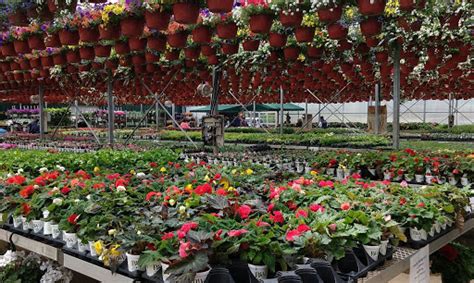 Honey Haven Farm Plant Nursery At 1327 Co Rd 1475 Ashland Oh 44805 Bestnurseryloc