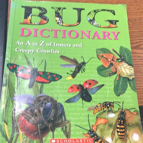 Bug Dictionary By Jill Bailey Mike Atkinson