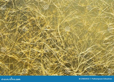 Fiber Glass Cloth Fibre For Ship Construction Royalty Free Stock