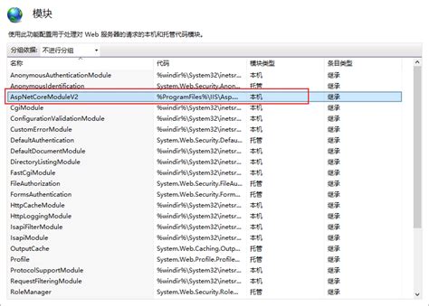 记一次将 netcore 项目用 IIS 进程调试 妖精代码 博客园