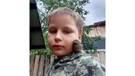 Девятилетний мальчик спас несколько кошек и собак в Забайкалье Питомцы Дзен