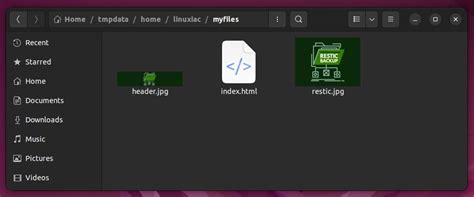 restic backup and restore data on linux with examples