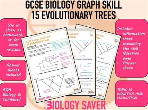 Gcse Biology Graph Skill 15 Evolutionary Trees Teaching Resources Gcse Biology Graph Skill 15 Evolutionary Trees Teaching Resources