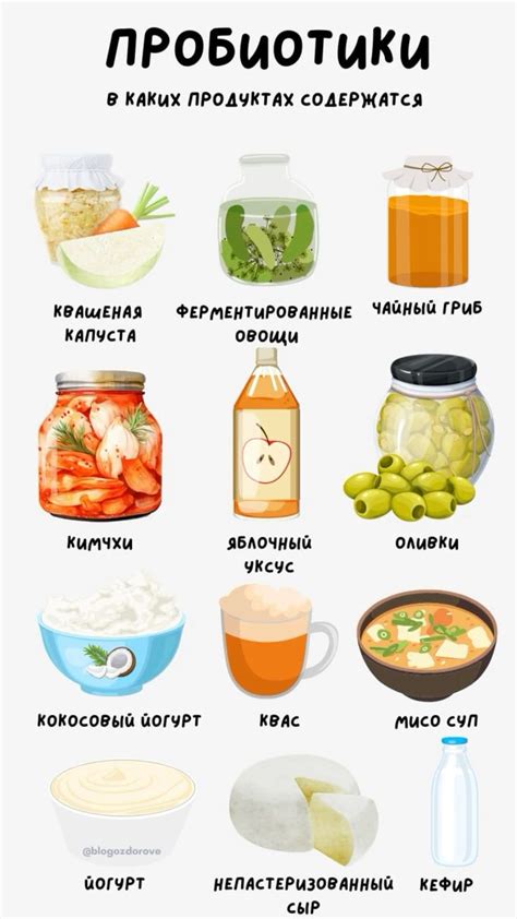 Пробиотики в каких продуктах содержатся In 2024 Healthy Food Dishes Healthy Lifestyle Food