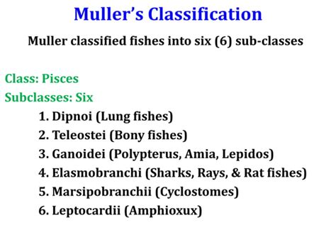 Classification Of Fishespdf