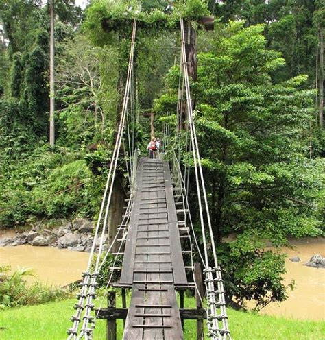 Nature Tours Borneo StarCruise