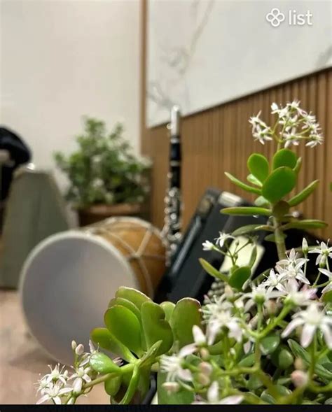 Հարսանեկան Երաժշտություն Հանդիսություններ List Am