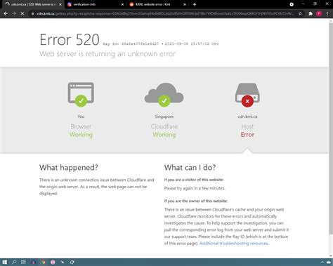 krnl website errors r krnl