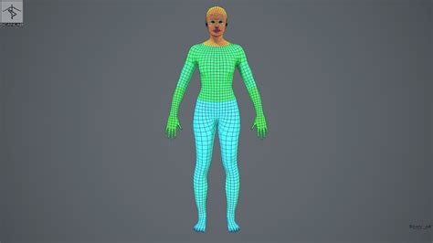 Base Topology Scanlab Photogrammetry