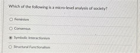 Solved Which Of The Following Is A Micro Level Analysis Of