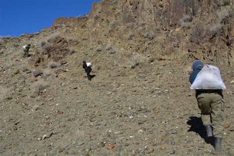 ДАВС ЦАЦАХ БИОТЕХНИКИЙН АЖИЛЛАГАА