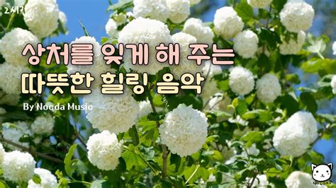 상처를 잊게 해 주는 음악 ♡ 마음의 치유에 도움이 되는 음악 ・ 커피 마시면서 듣기 좋은 음악 ・ 힐링음악 ・ 카페음악 ・ 마사지음악 ・ 스파음악 ・ 2시간 Youtube