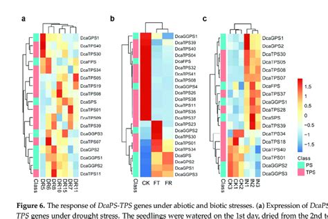 The Response Of Dcaps Tps Genes Under Abiotic And Biotic Stresses A