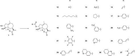 Reagents And Conditions Hcooh R T 12 64 Ac2o Dmap Ch2cl2 Download Scientific Diagram