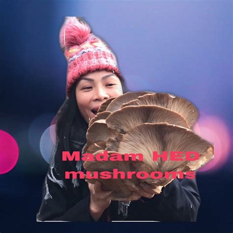 Madam Hed Mushroom Youtube