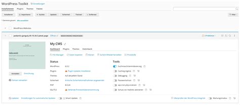 Wordpress Toolkit Hosting Mit Plesk Blog Rainbow