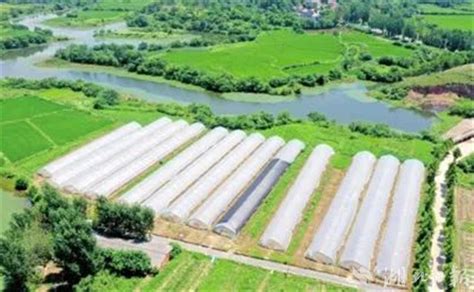 安陆突出产业振兴 打造“投资公司政府企业村集体”新模式 湖北日报新闻客户端