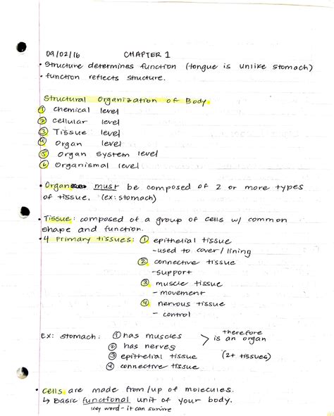 Solution Anatomy Notes Part 1 Studypool