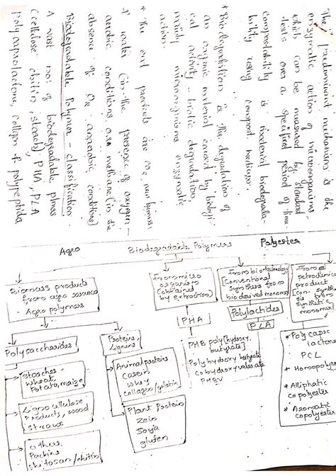 Discribed The Development Of Starch Based Polymers Polymer Engineering Pst1505 Stuvia Us