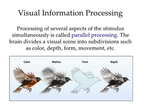 Parallel Processing Psychology