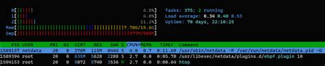 Apps Plugin High CPU Usage Help Netdata Community Forums