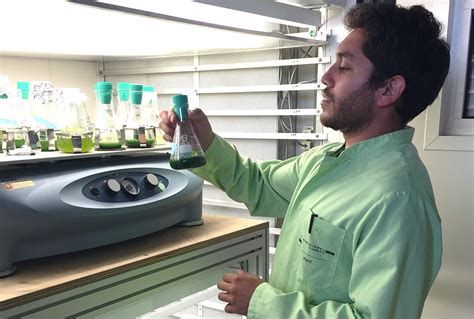 Metabolic Engineering Of Eukaryotic Microalgae To Improve Lipid Content WUR