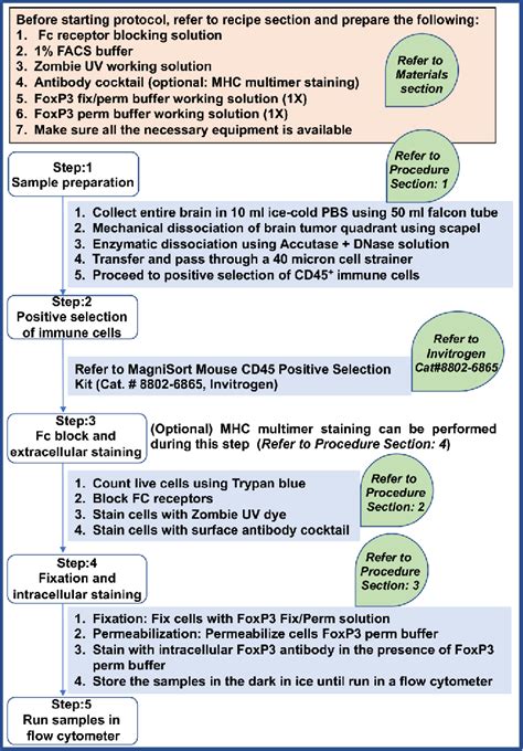 Facs Staining Buffer Recipe