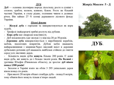 Рослини тварини і гриби рідного краю Online Presentation