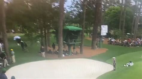 Horrifying Footage Emerges Of Giant Pine Tree Falling Down At The