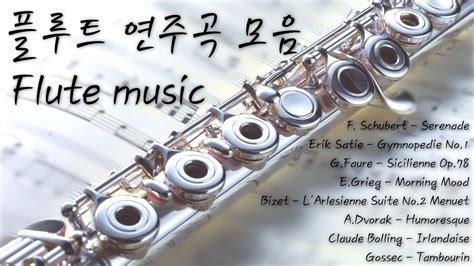 2시간 연속듣기 🎵 플루트 연주곡 모음 힐링 휴식 공부 태교 수면 음악 슈베르트에릭사티그리그비제드보르작끌로드볼링고세크 중간광고x Flute Music