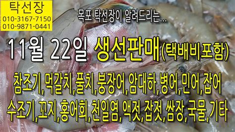 11월 22일 참조기 먹갈치 풀치 붕장어 암대하 병어 민어 잡어 수조기 꼬지 홍어회 천일염 액젓 잡젓 탁선장 목포 남도농수산 010 3167