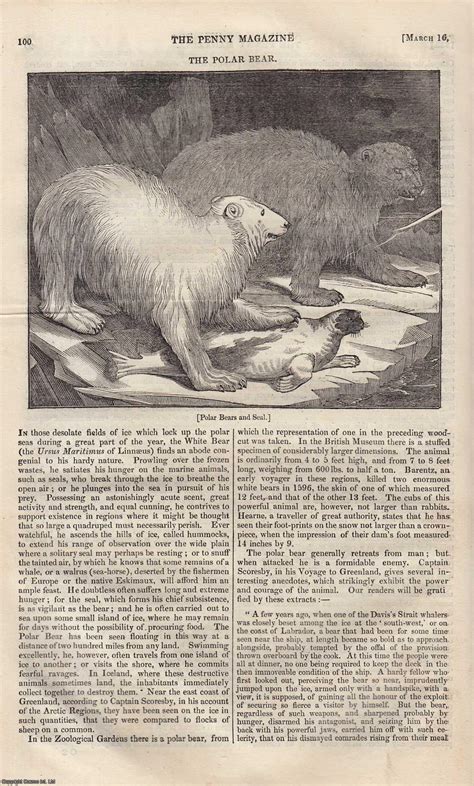 The Cathedral Of Lichfield The Polar Bear Archbishop Of Cranmer Etc Issue No 61 March 16th