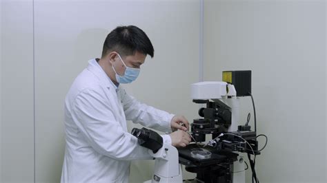 Video Mouse Round Spermatid Injection