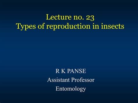 Reproductive System In Insects Ppt