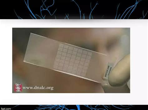 Microarray Cell Biology Ppt