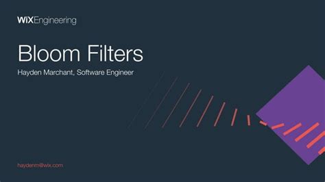 Introduction To Bloom Filters Pdf