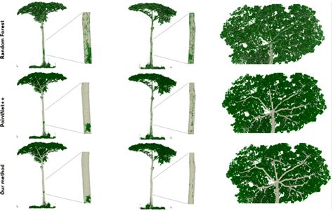 Segmentation With Random Forest Pointnet And Our Method Of Tls Scan
