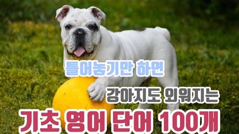 영어 단어 100개 듣다 보면 외워집니다 영어 회화를 위한 필수 단어 틀어만 놓으세요 Youtube