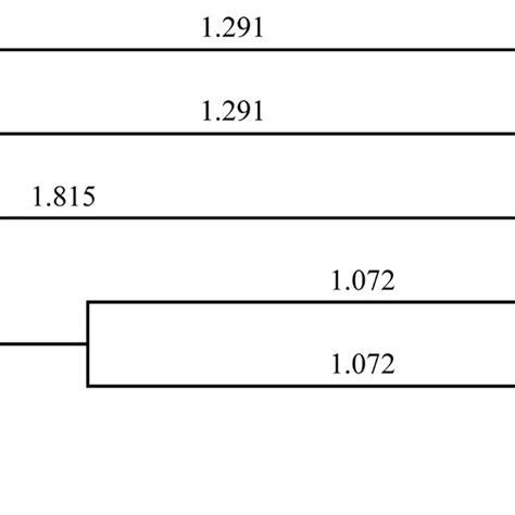 upgma dendrogram based on genetic distances among s yildirimlii