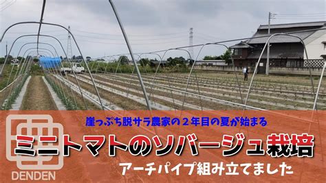 脱サラ農家ミニトマトのソバージュ栽培支柱建てました崖っぷち YouTube
