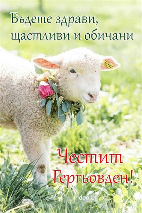 НАРЪЧНИК КАРТИЧКИ МОДА РЕЦЕПТИ СЪВЕТИ