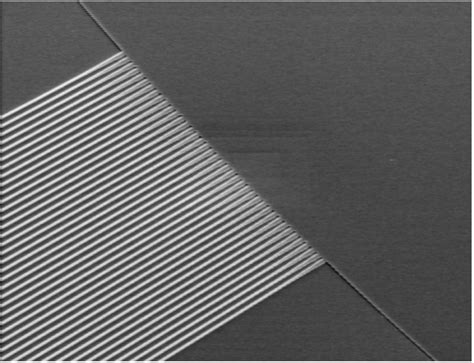 Jalali Lab Posted On Linkedin